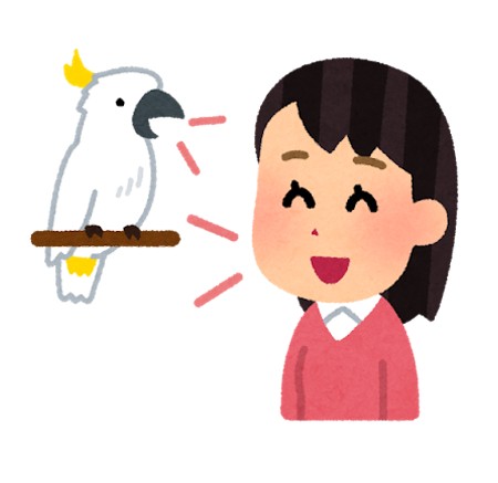 How to Have a Conversation in Japanese - Japanese Talk